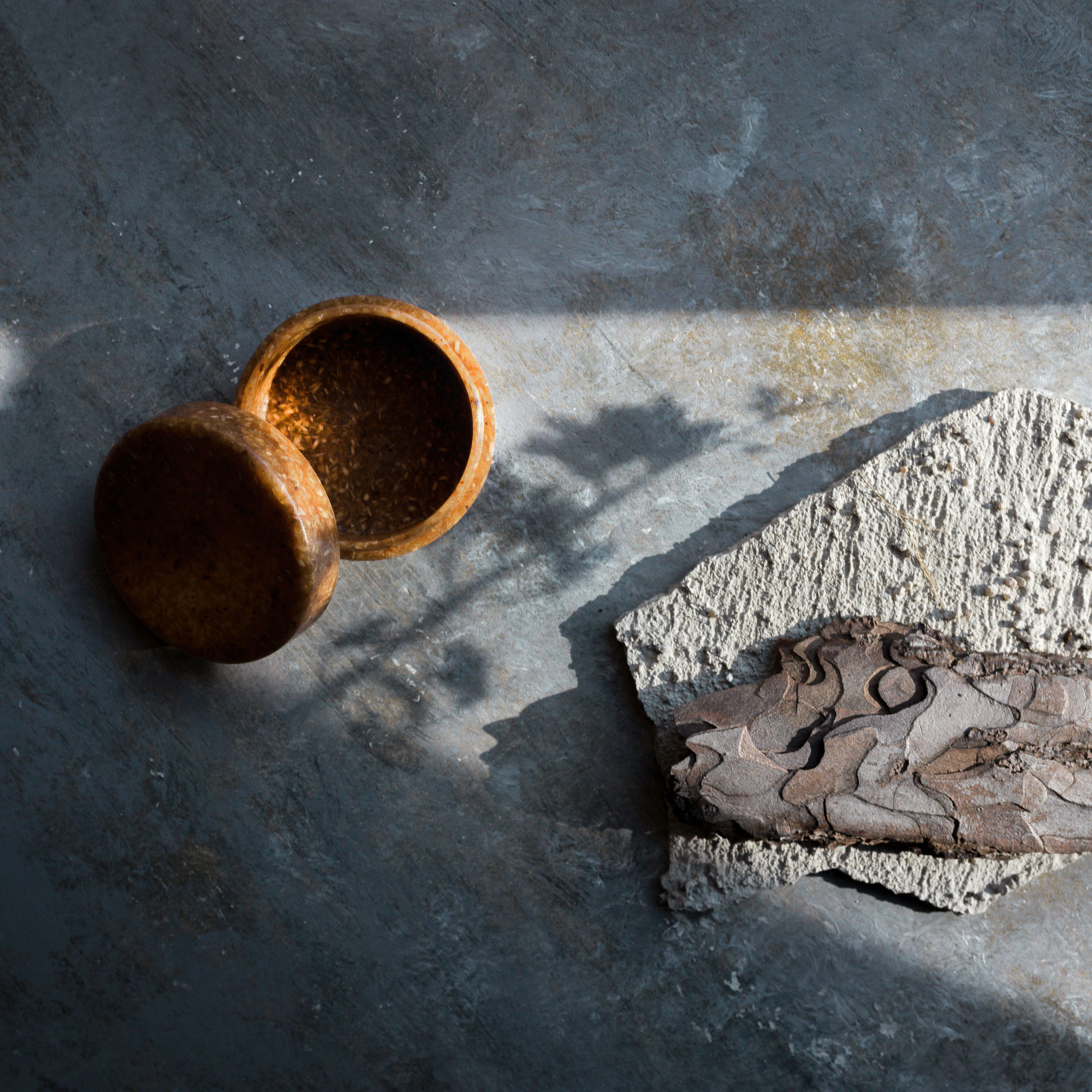 Bioplastics and bio-based biocomposite that biodegrades